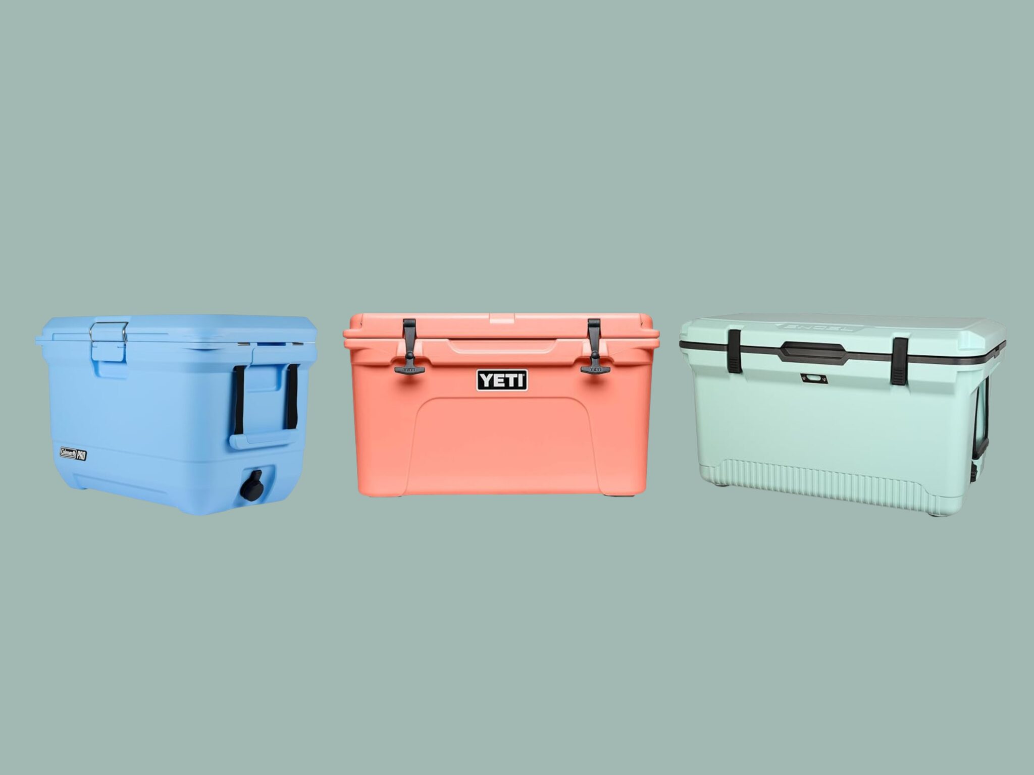 Best Coolers of 2025 for Outdoor Adventures - Eunoia Twenty One
